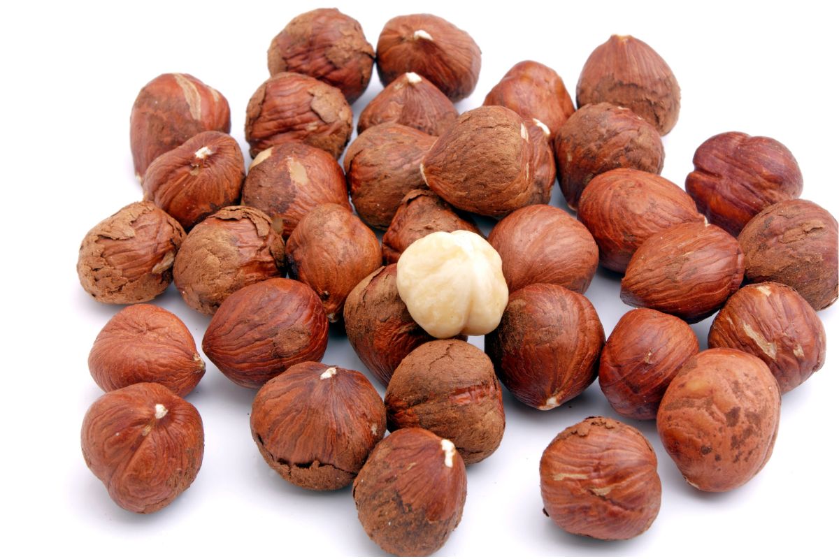 ¿Cuáles son los mejores frutos secos? Guía completa - Sabor a España